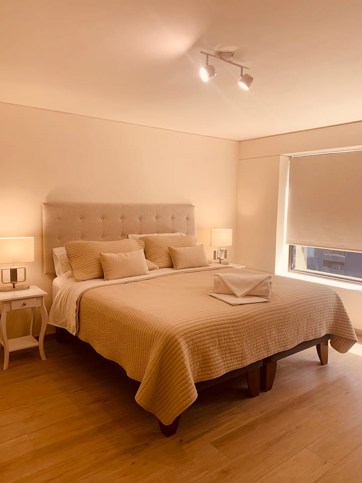 Lindo Departamento
Providencia/ Santiago. - Providencia