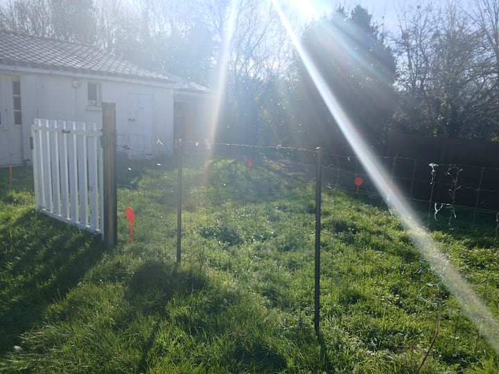 Petite Maison Mitoyenne - Talmont-Saint-Hilaire