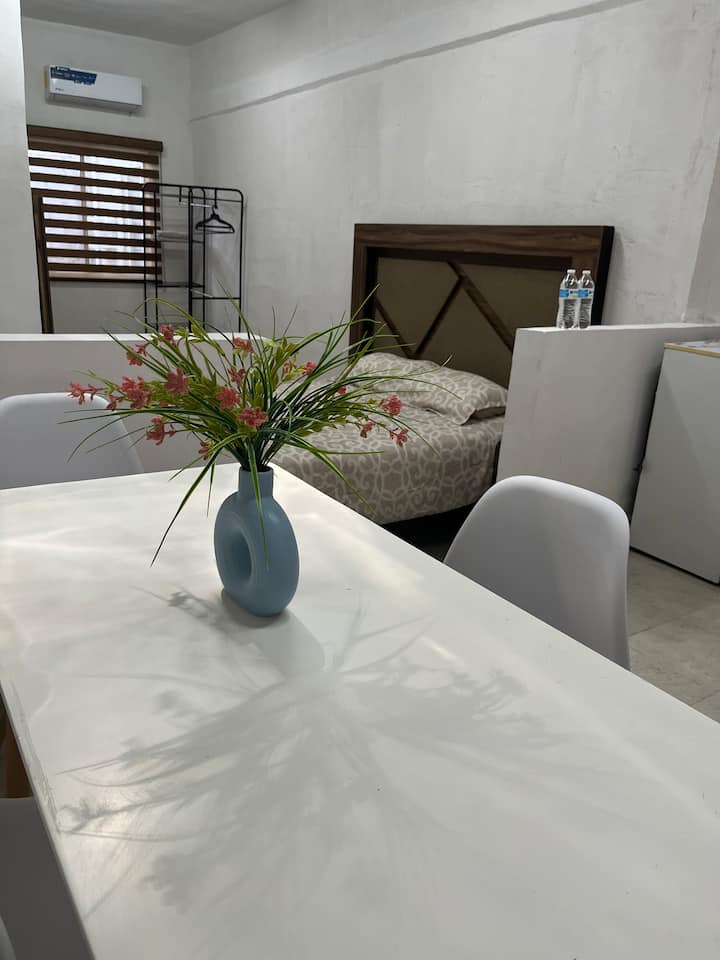 Apt1 A 5 Min Aeropuerto Y Central, Soriana Alsuper - Torreón