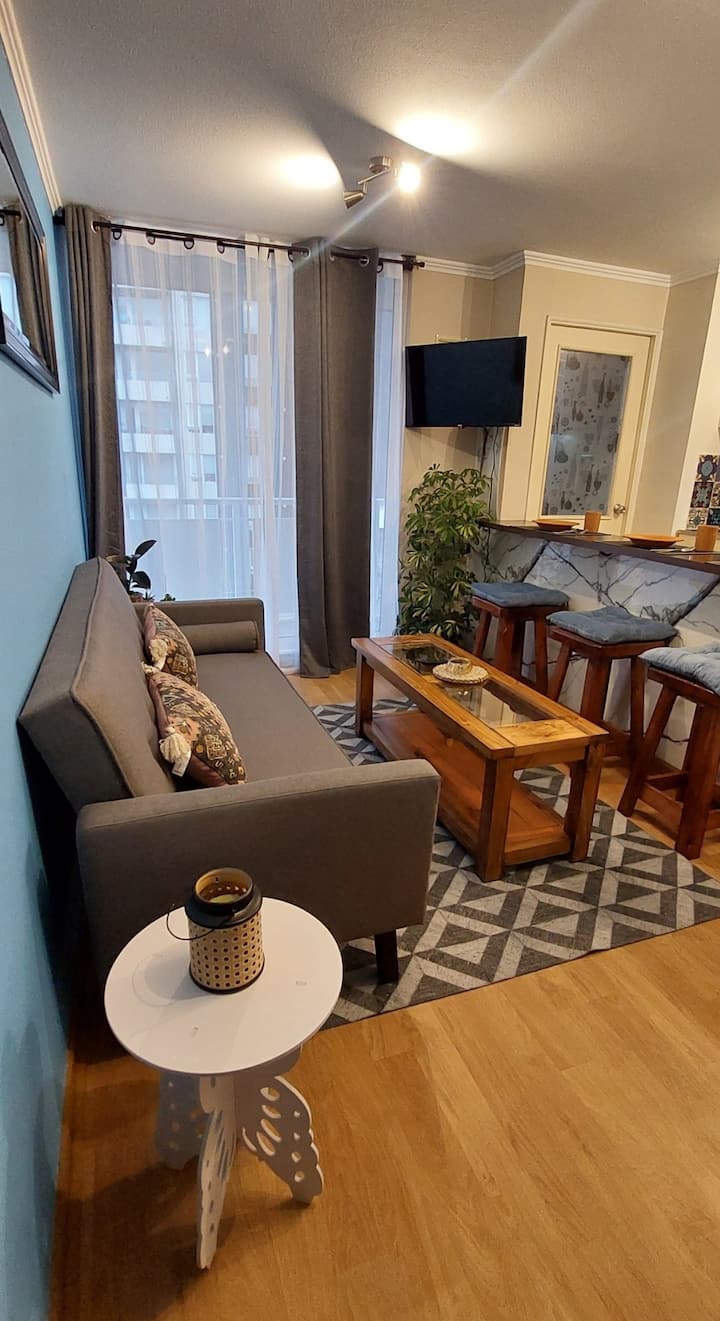 Cálido Y Céntrico Depto. - Temuco