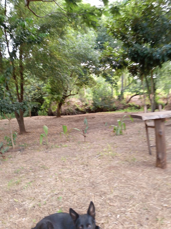 Campamento - Puerto Iguazú