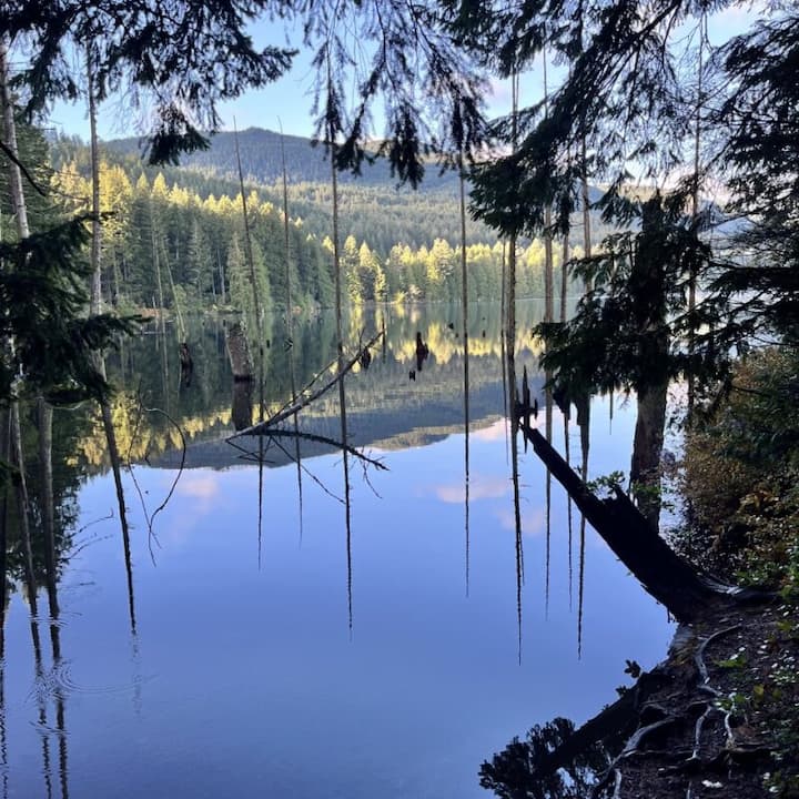 The Owl’s Nest At Westwood Lake - Nanaimo