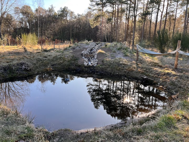 Skovhytte I Naturlige Omgivelser - Denmark