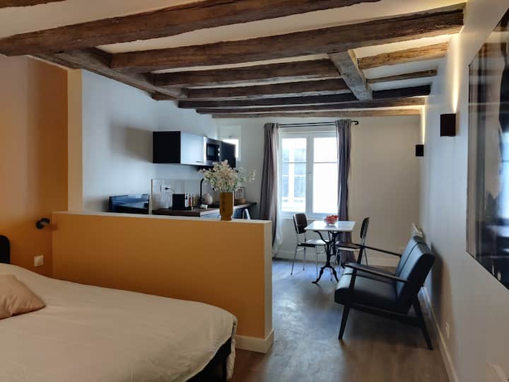 Cœur De Chinon, Grand Studio Tout Neuf, Très Calme - ibis Styles Chinon