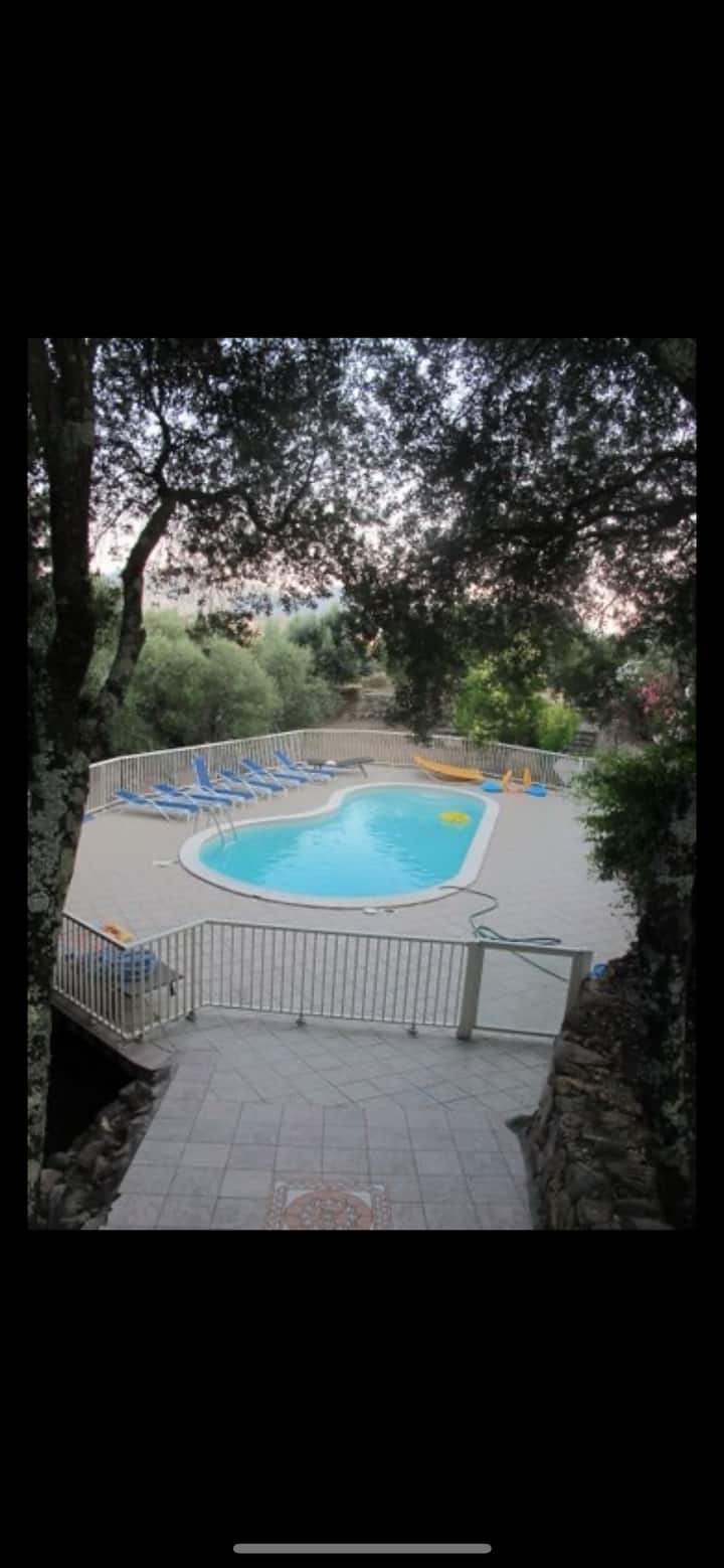 Splendide Villa Avec Piscine - Olmeto
