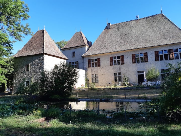 Grand Gîte Château Campagnard - Treffort