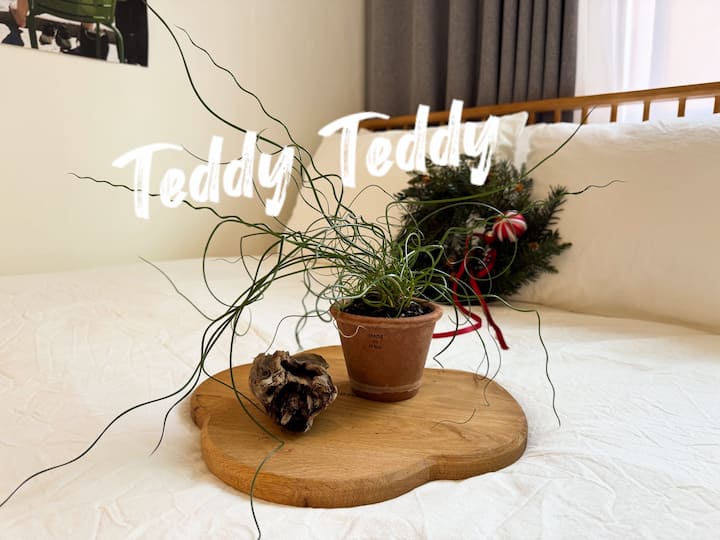 [Teddy]룸2더블침대3(인원수맞춤제공)주차문의#행리단길#스타필드#kt위즈파크#깨끗욕실 - Suwon-si