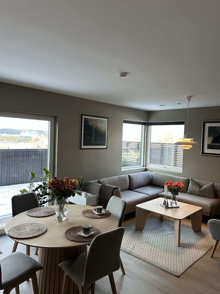 Lys Og Moderne Leilighet I ÅLesund - Ålesund