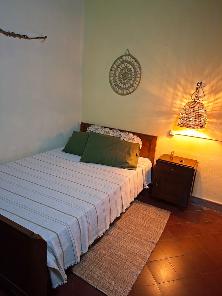 Naturaleza, Arte Y Paz En Asunción - Paraguay