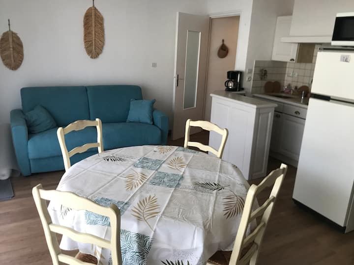 Bel Appartement Vue Mer à 50m De La Plage - Camiers