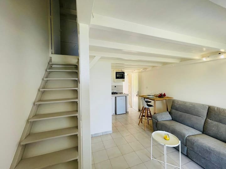 La Rose Des Alizés « Hibiscus » - Martinique