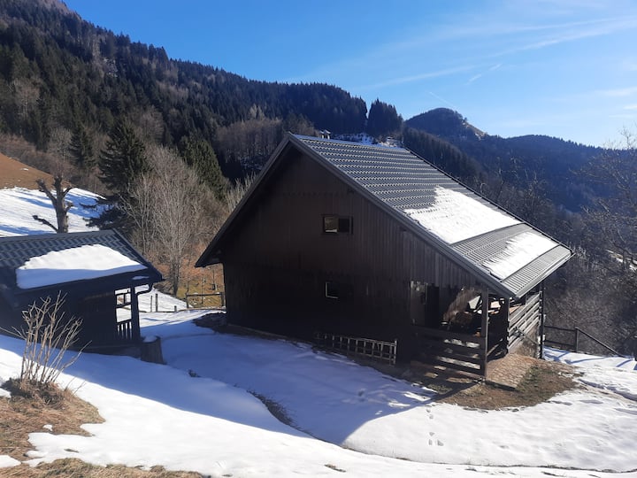 Počitniška Hiša Kajža - Slovenia