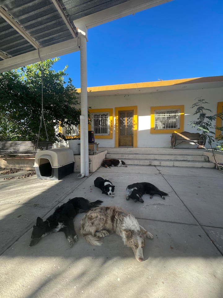 Casa Tipo Quinta Muy Amplia - Hidalgo