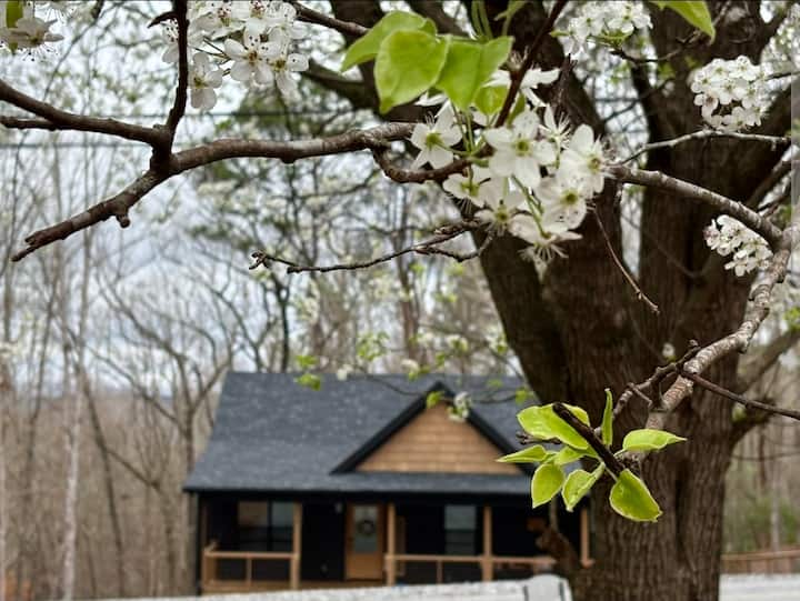 Starry Night Cabin Dog Friendly - Ellijay