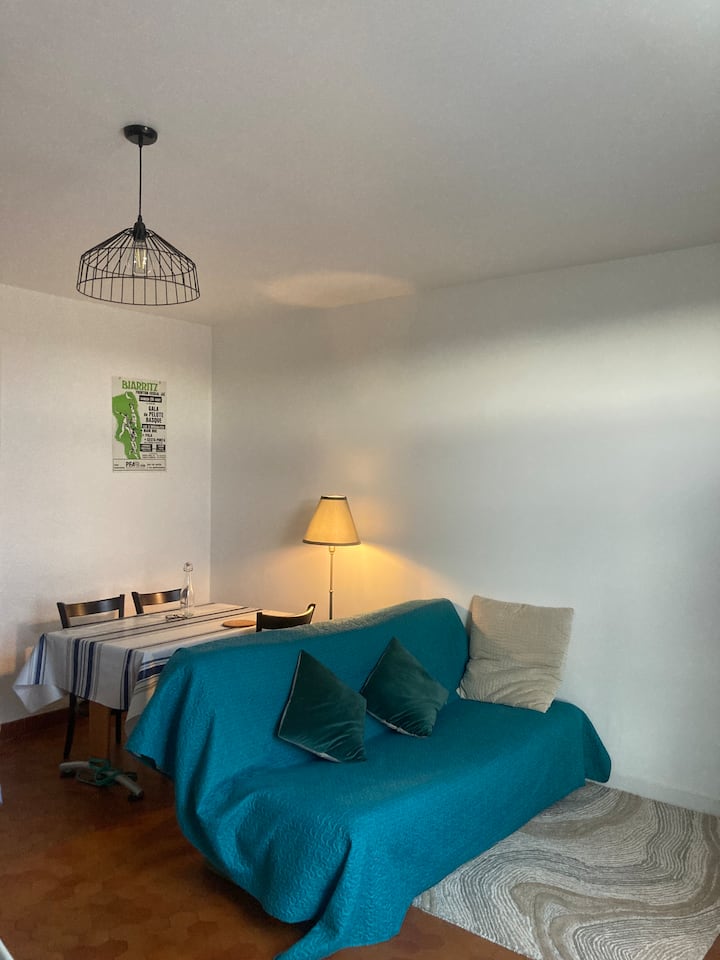 Appartement Bidart Bord De Mer Type T2 - Bidart