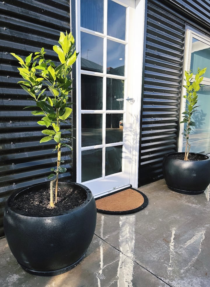 Total Vibe | Hiding In The Heart Of Dubbo | Osp - Dubbo