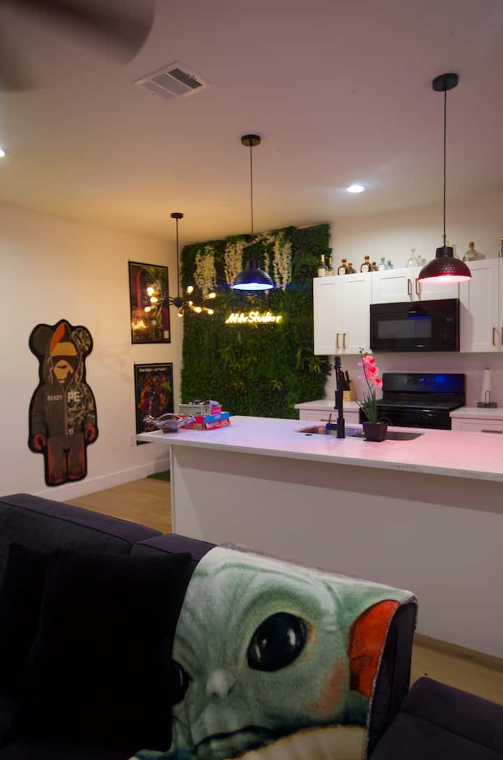 Viral Don Julio Party House - Houston, TX