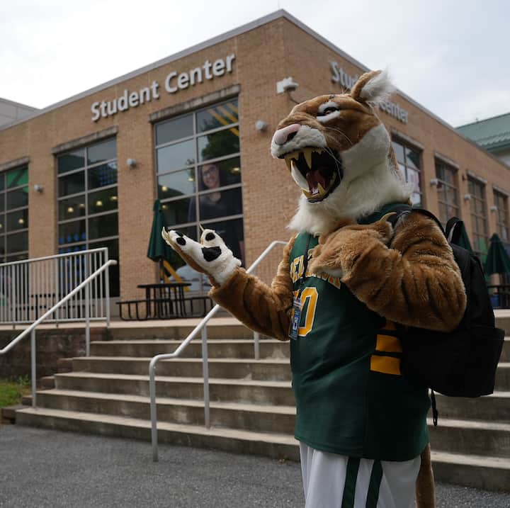 Cozy Pvt Room • 8 Mins To Frederick College & Dwnt - Frederick, MD