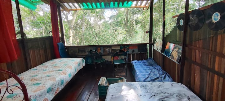 Cabana Na Natureza No Plantar Em Casa - Itapevi
