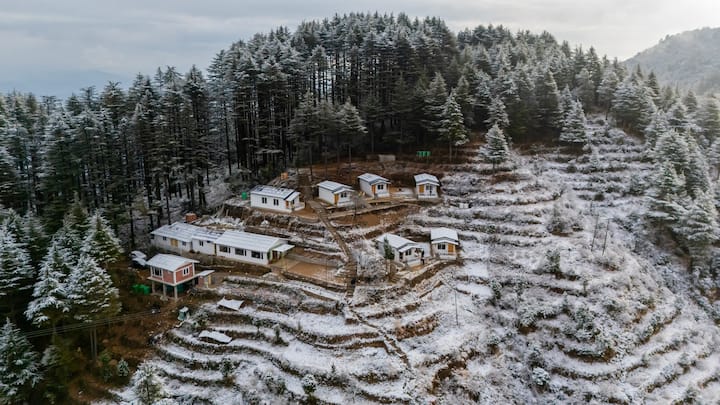 Family Cottage In Kanatal - Kanatal