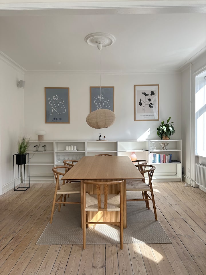 Large Luxurious Apartment - Copenhagen
