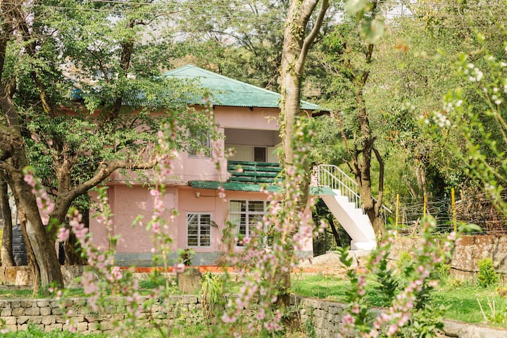 Lady Luna’s Pink House - Dharamshala