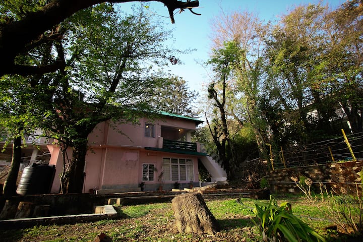 Lady Luna’s Pink House - Dharamshala