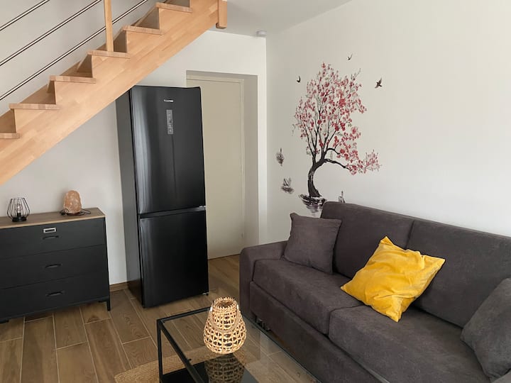 Duplex Confort - Le Mans