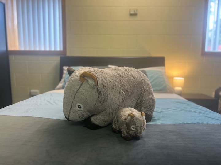 Wombats Den
A Warm And Cosy Semi Underground Den - Cambridge