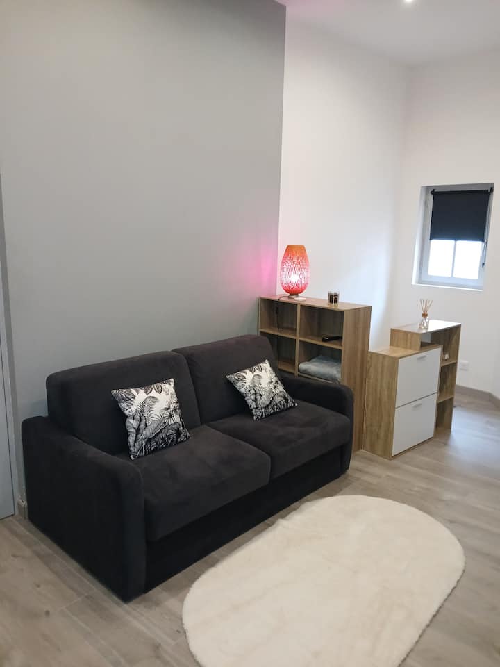 Appartement Paisible Plein Centre - Dijon