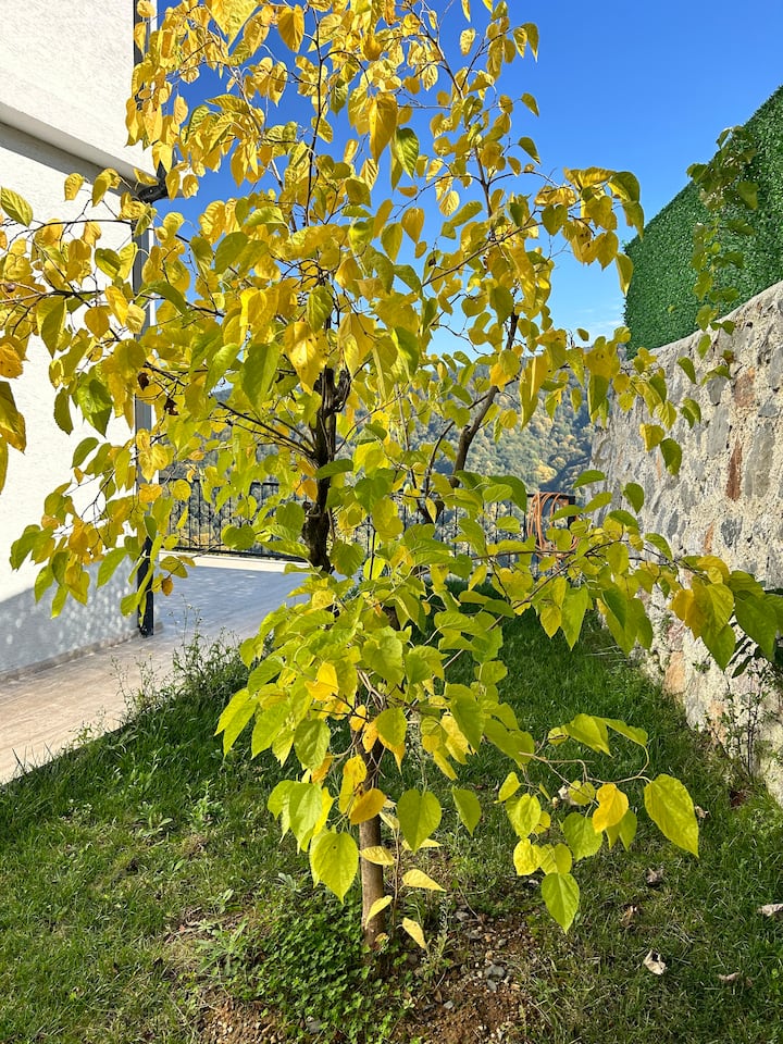 Göl Dağ Manzaralı, Havuzlu Villa - Sapanca
