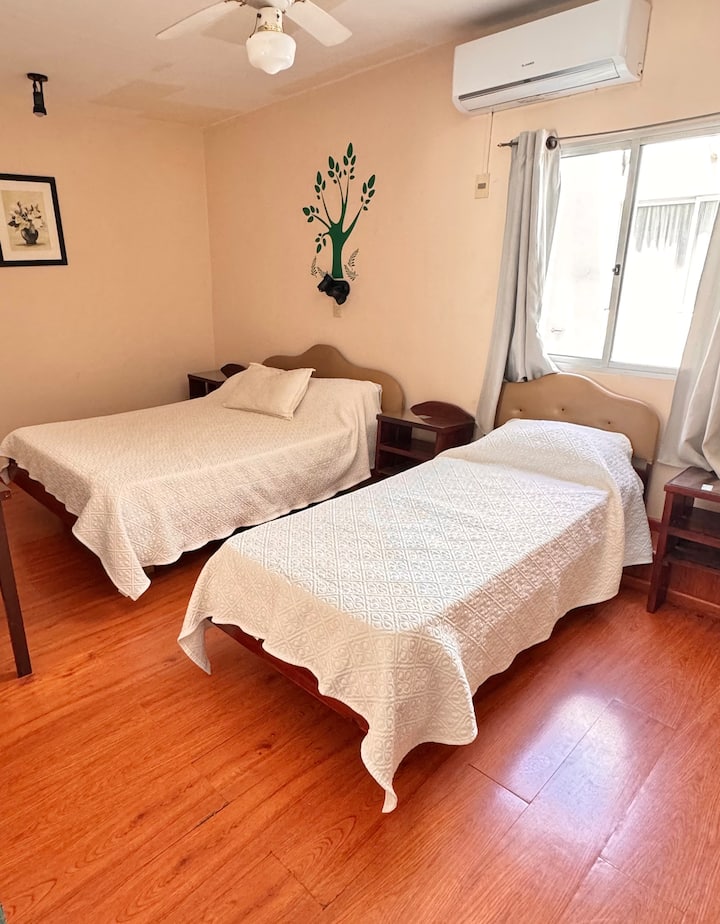 Habitación De Hotel Pleno Centro - Colón