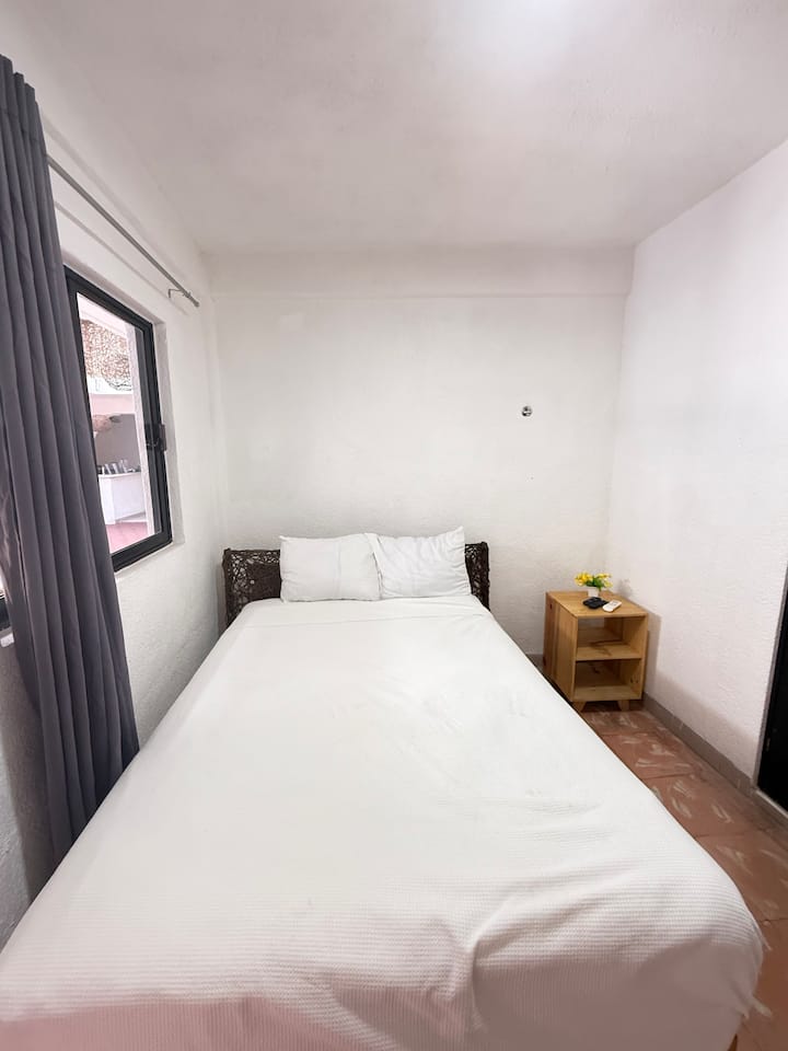 En El Corazón De Imj (7) - Isla Mujeres