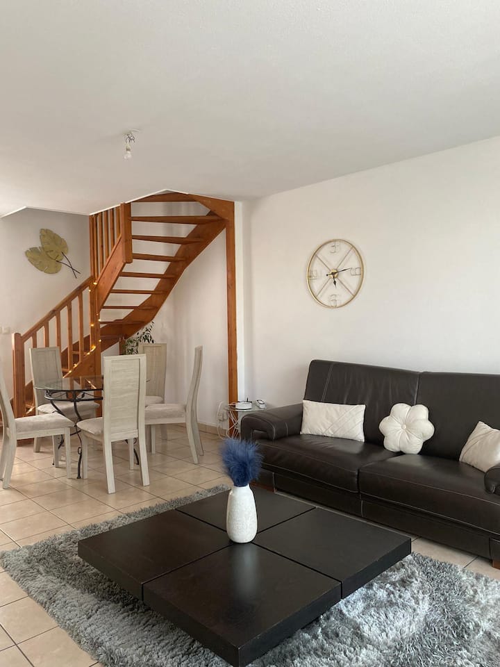 Duplex En Maison, Terrasse, Garage, Au Calme - Bron