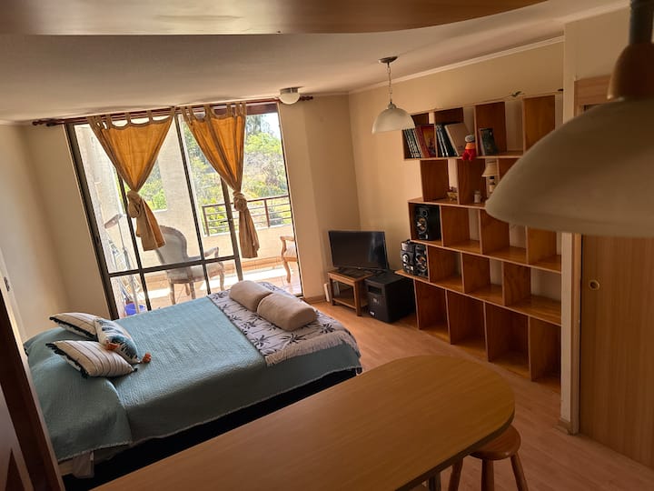 Hermoso Departamento Central - La Serena