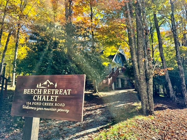 Blue Ridge Mtns Cabin/skiing/firepit Movie Theater - Beech Mountain, NC