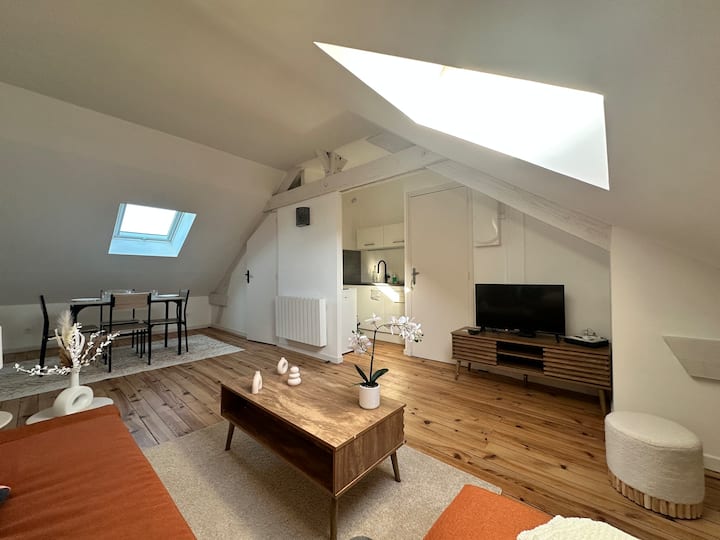 Studio Gare Tgv,
Saint-pierre-des-corps - Tours