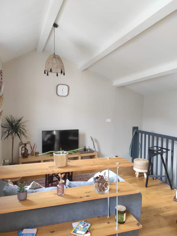 Duplex Cosy En Plein Centre - Angoulême