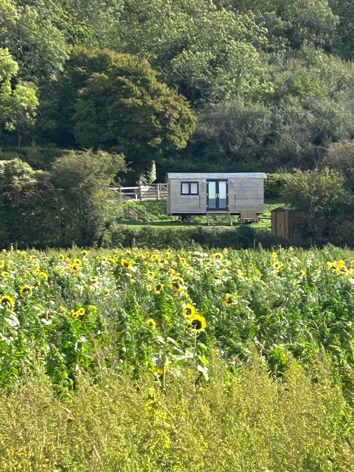 Kelpie Hut - Cotswolds