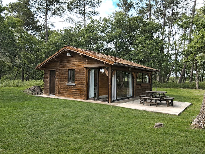 Chalet - Cœur De Forêt Landaise - Biscarrosse