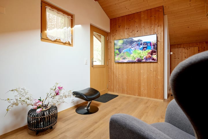 Epic Lake Views Traditional Alpine Chalet& Hot Tub - Brienz