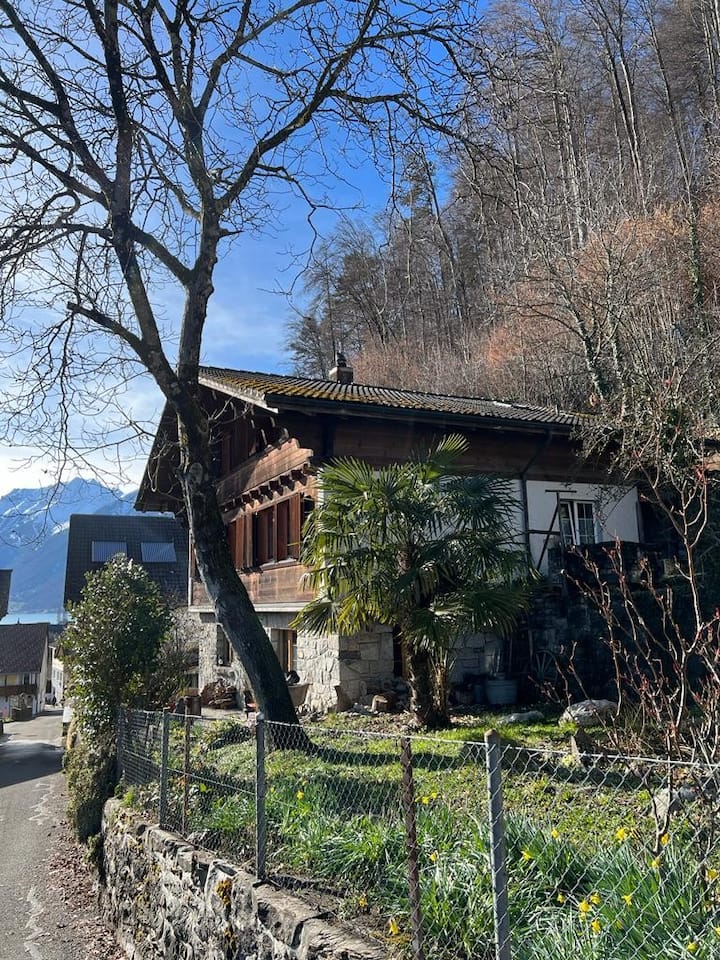 Chalet Mit Berg & Seesicht Whirlpool& Parkplatz - Brienz