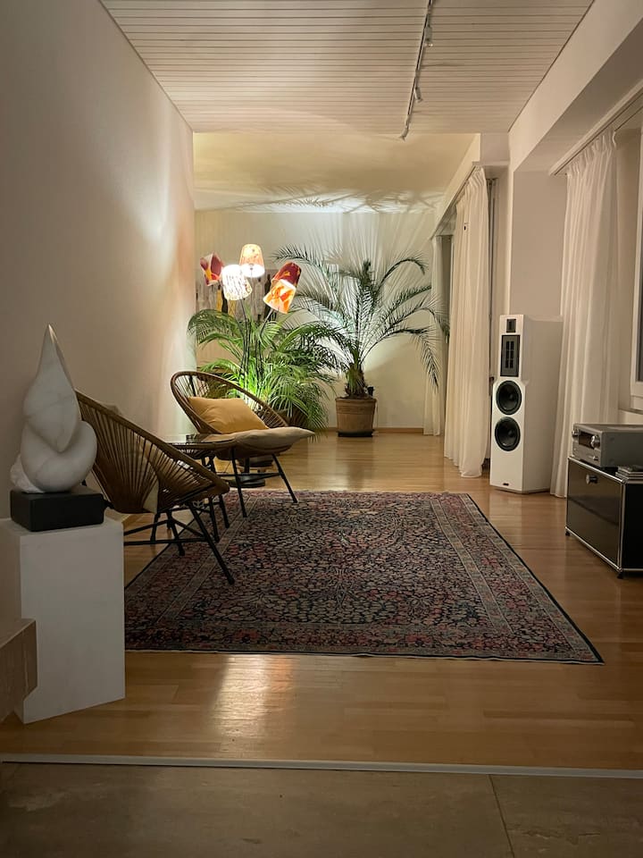 Rooftop Apartment In Citycenter - Basel