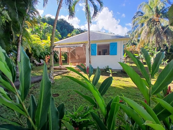Bungalow Tropical Avec Piscine Et Jardin - Guadeloupe