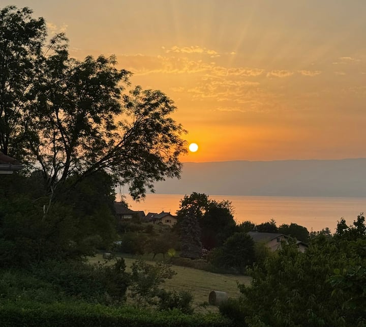 Appartement Cosy, Au Calme, Vue Lac, Parking . - Lugrin