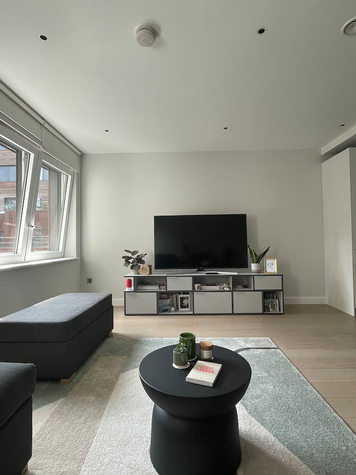 Modern One Bed Flat On Regent's Canal - London
