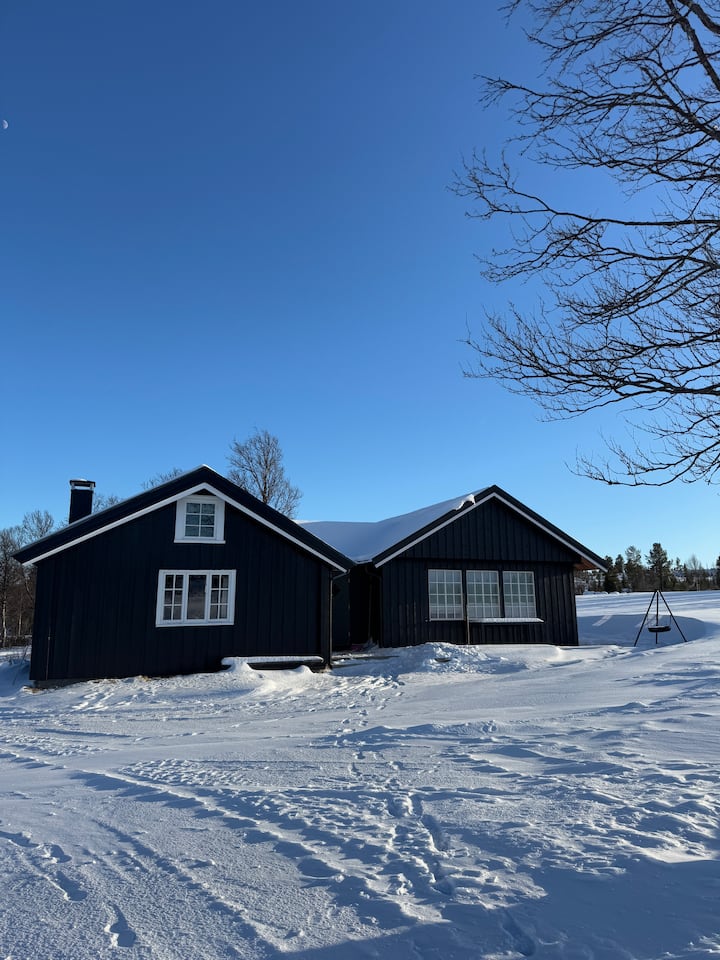 Hytte På Gol I Rolig Område - Skrøyvestølane