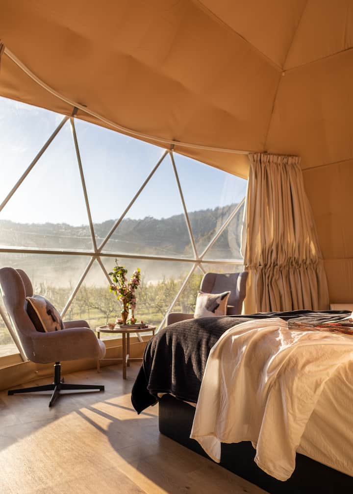 Orchard Sunrise Dome - Penguin