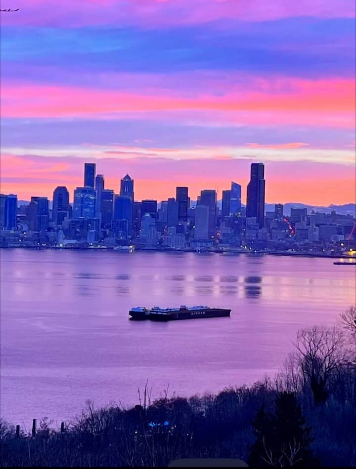 Seattle’s Skyline Getaway - Steamglam Haven 1 - Seattle