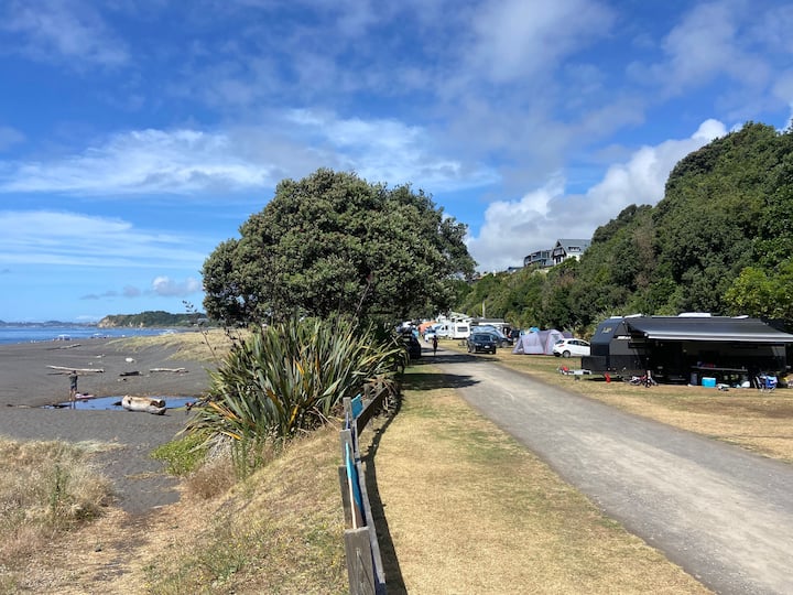 Grey Ghost - New Plymouth